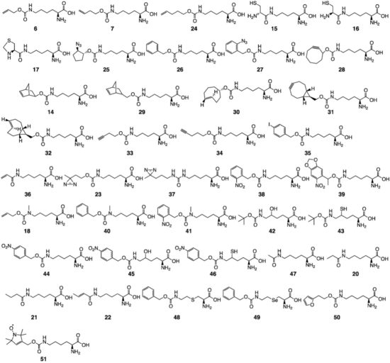 PylRS innovation and its contribution to the future of research and ...