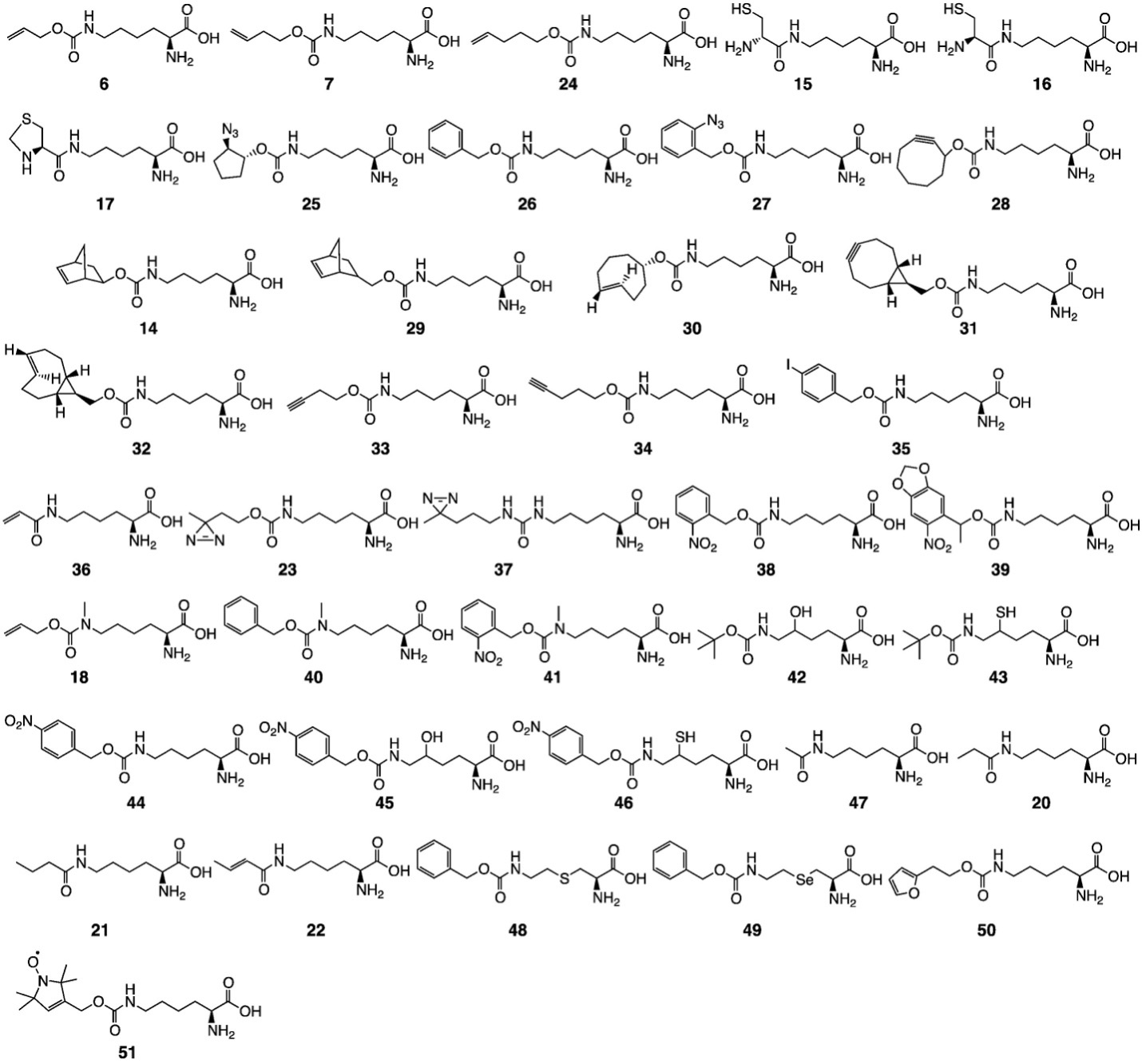 PylRS innovation and its contribution to the future of research and ...